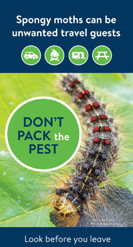 Don't Pack the Pest | Minnesota Department of Agriculture